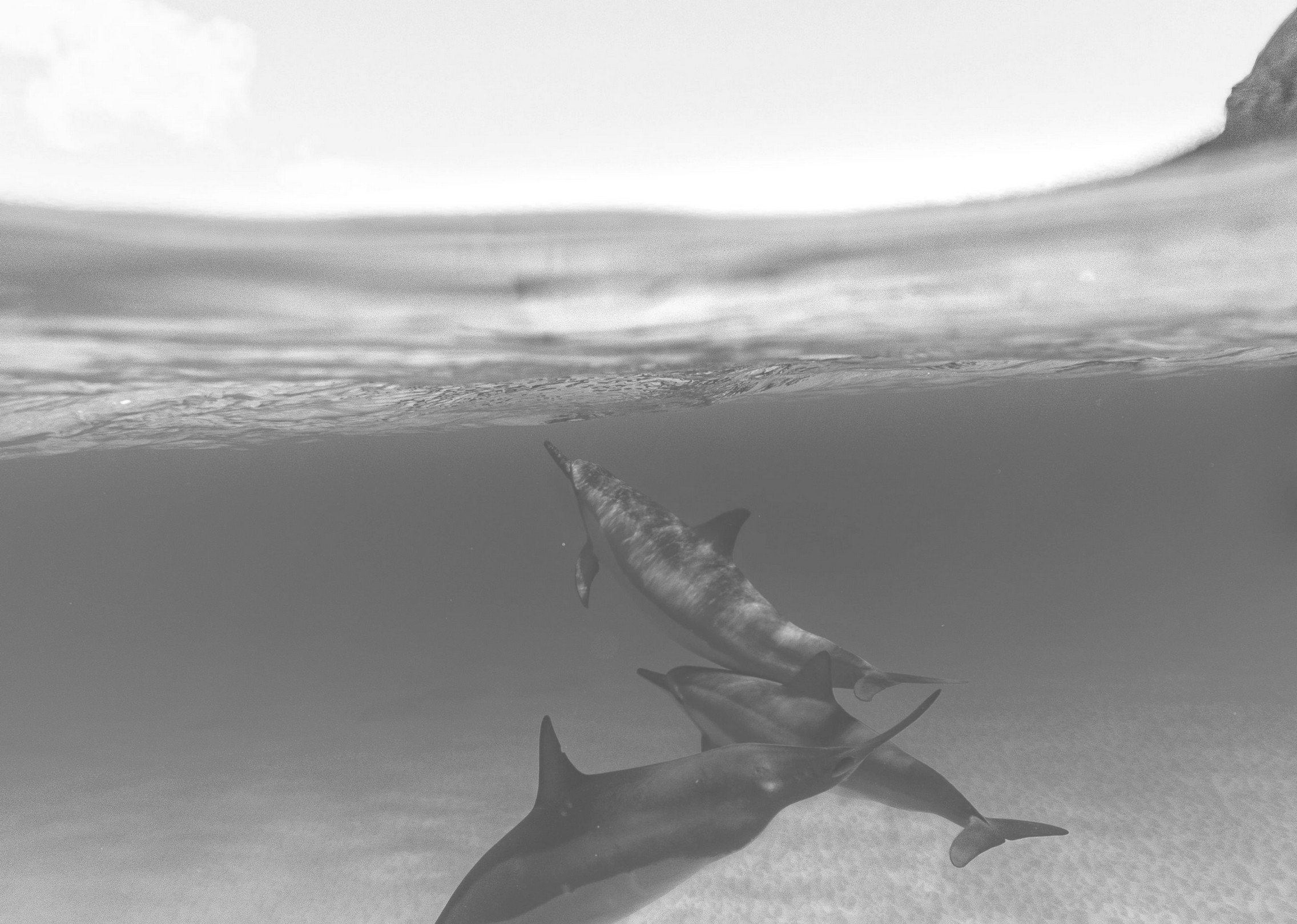 Monitoring and Early Warning System for Passing By Ships. - Weseayou